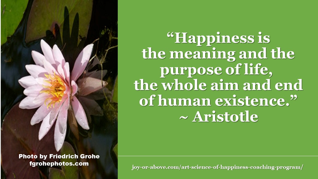 Want To Be Happy? – Joy or Above